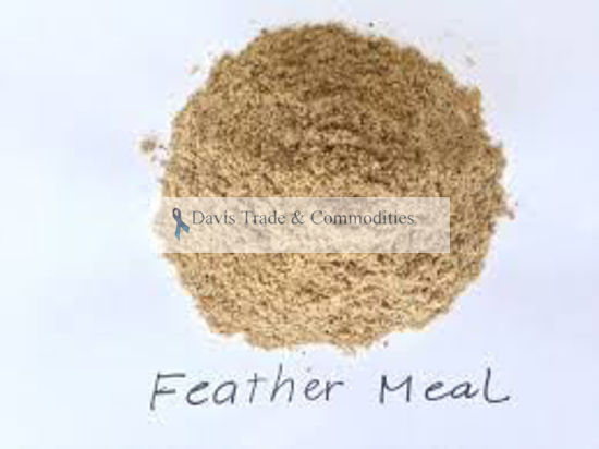FEATHER MEAL|Davis Trade & Commodities